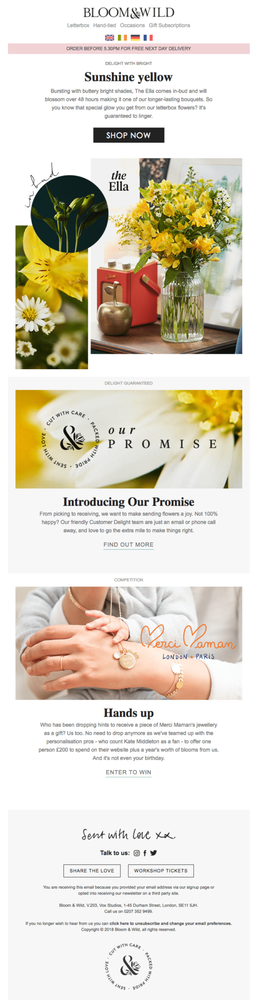 The Right Email Template Size | Mailtrap Blog
