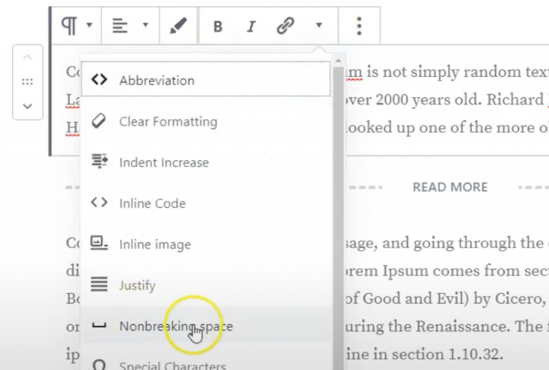 &NBSP Entity Explained with Code Snippets [2025]